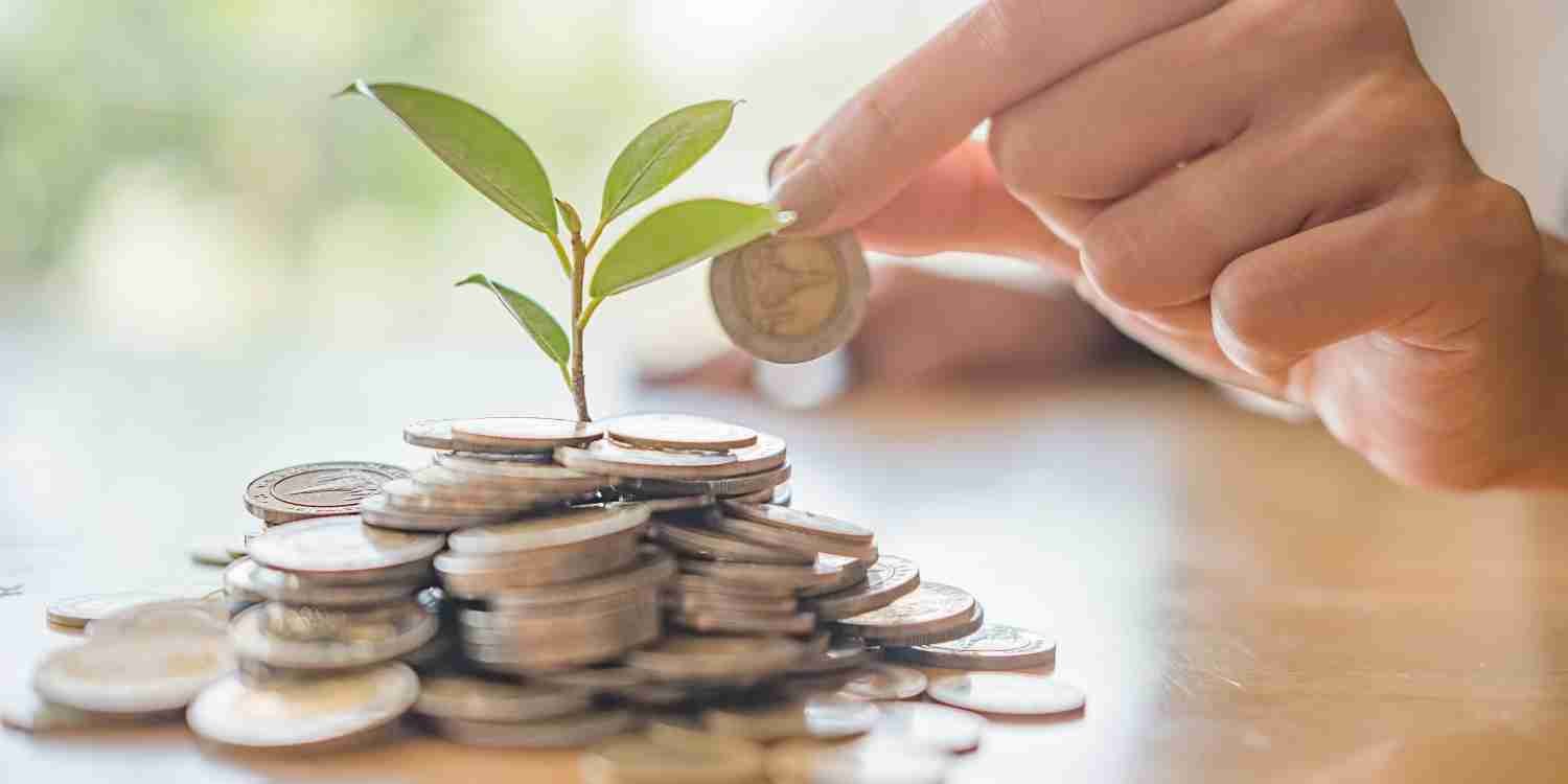 Business Angels Advantages and Disadvantages