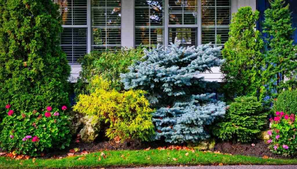 Front House Design: Elevate Your Home's Kerb Appeal