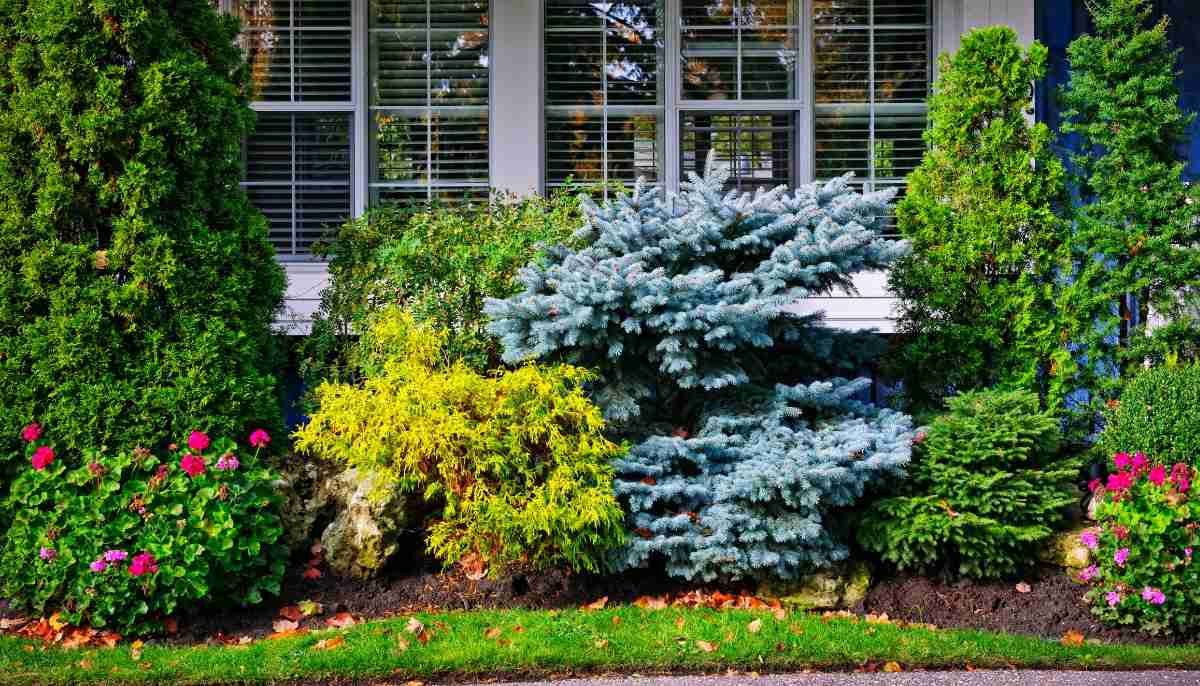 Front House Design: Elevate Your Home's Kerb Appeal