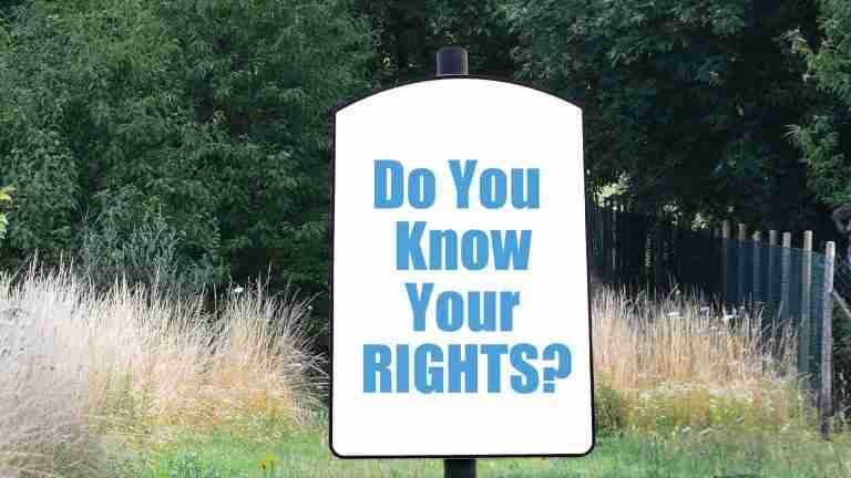 Can I Cut Back Council Trees Overhanging My Property