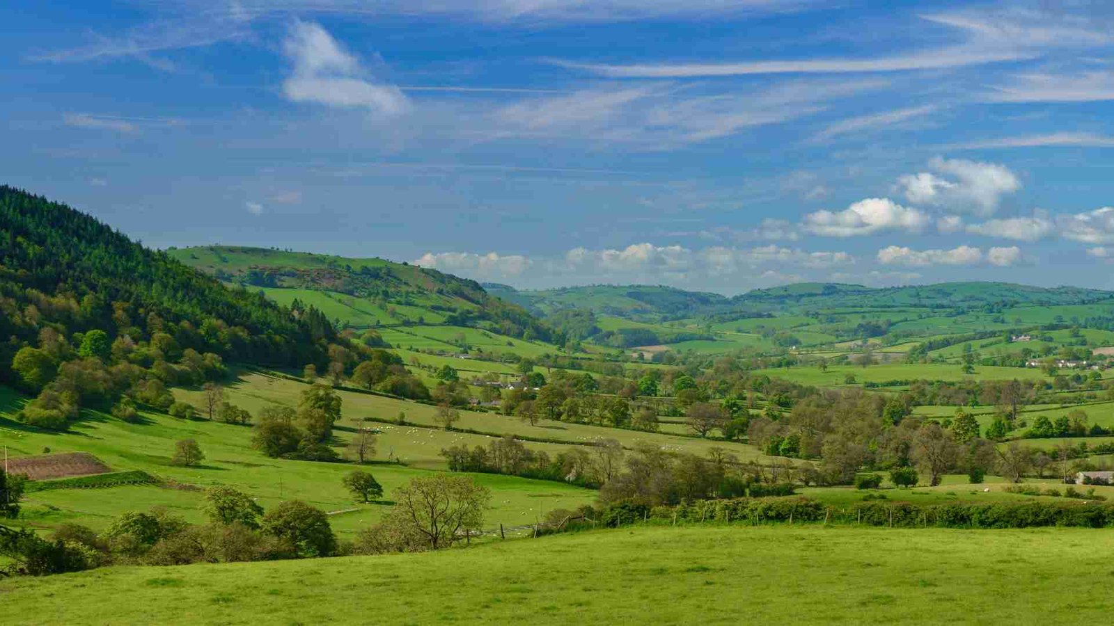 How Do I Find Out Who Owns What Land UK