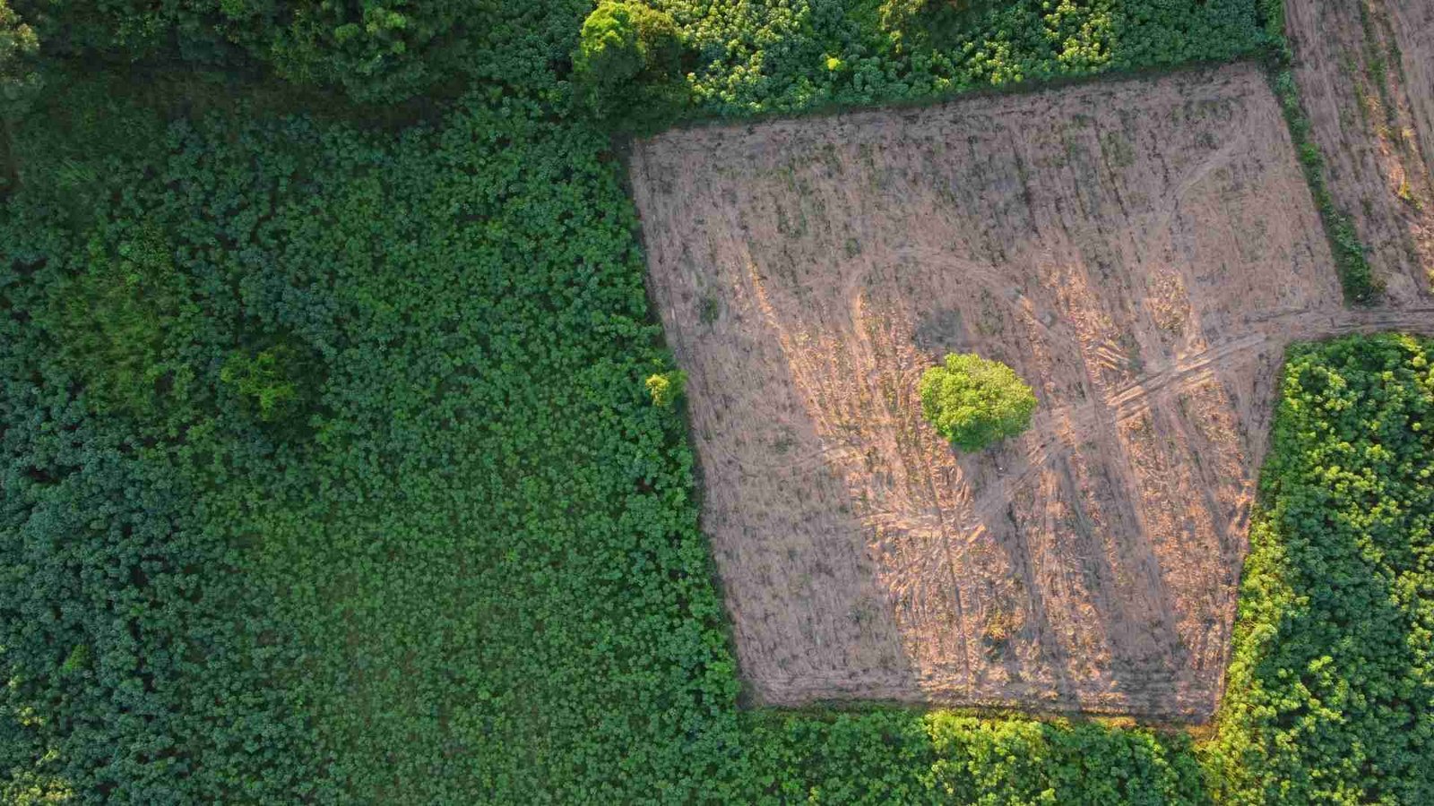 Off Grid Land For Sale