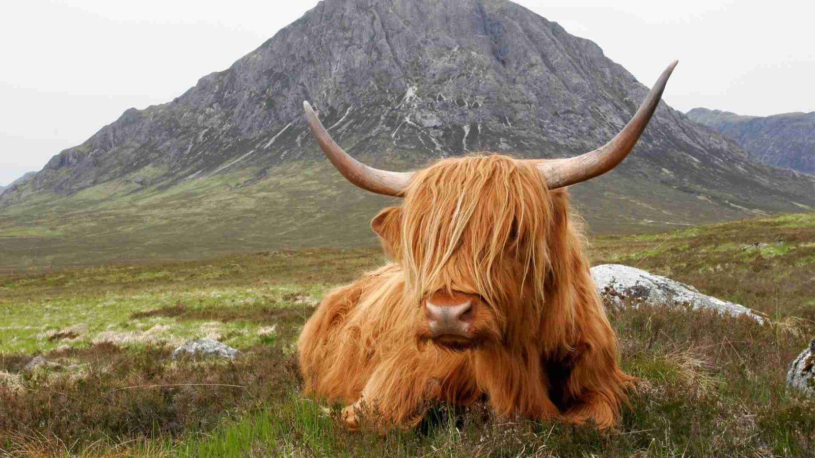 Cheap Rural Property in Scotland