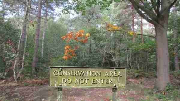 Conservation Area Garden Rules UK: What You Need to Know