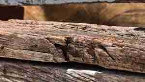 How to Repair Water Damaged Wood: A Step-by-Step Guide