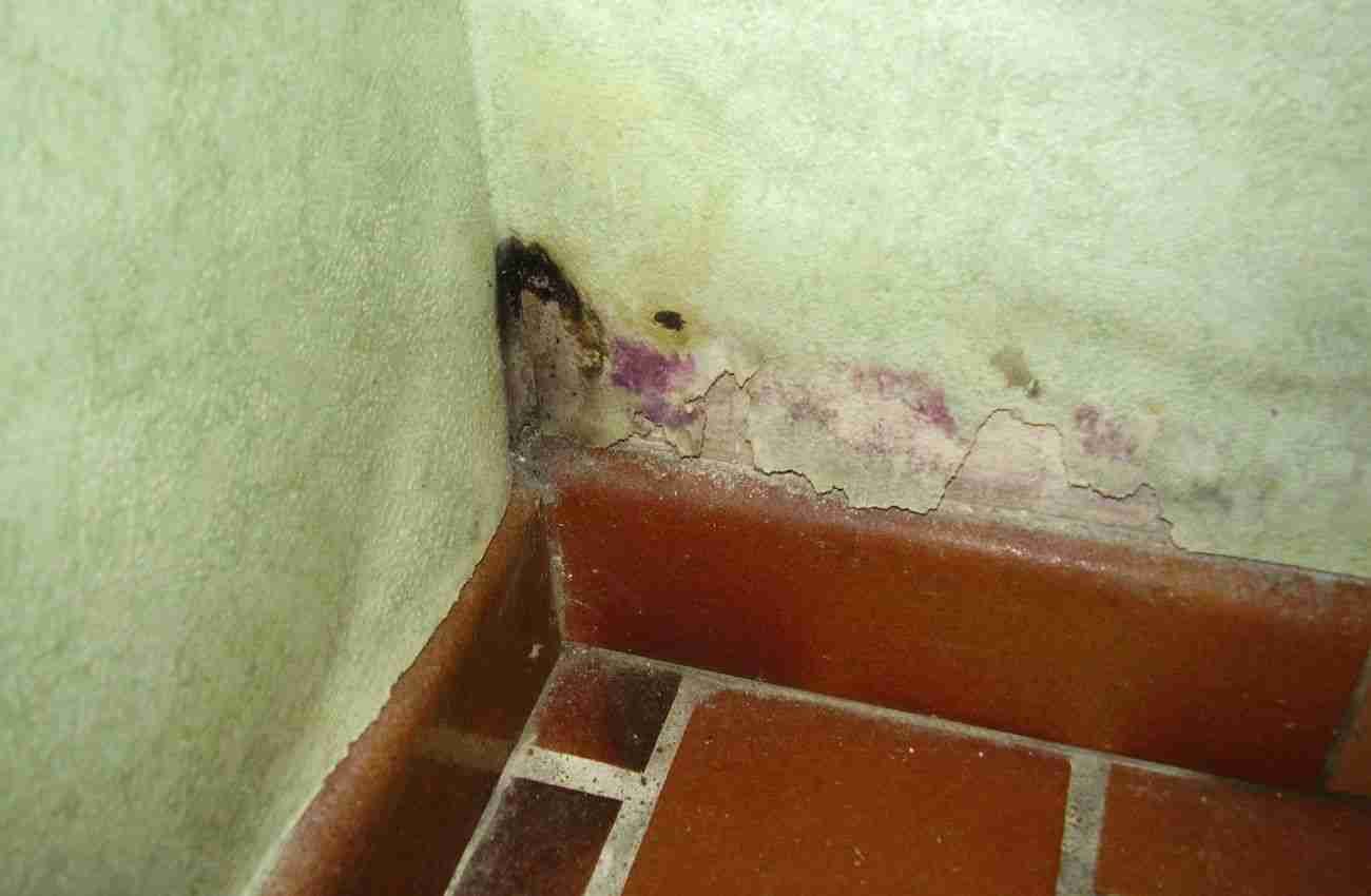 How to Fix Rising Damp: A Comprehensive Guide